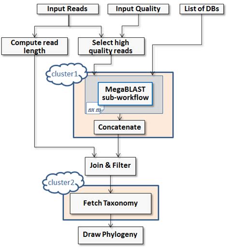 Overview Of The Metagenomics Workflow The Sub Workflows For Megablast