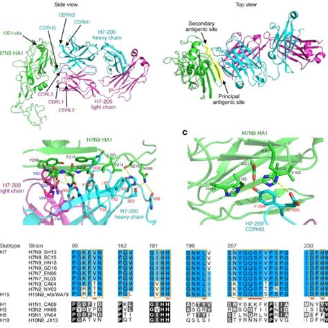 The Gor Iv Secondary Structure Prediction Method Was Used To Find Alpha Download Scientific