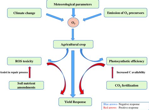 1 Approaches Using Different Agronomic Practices To Compensate O 3 Download Scientific Diagram