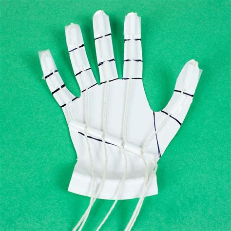 Build An Artificial Hand Educational Innovations Blog