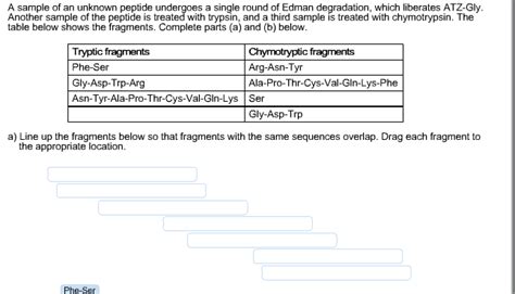 Solved A Sample Of An Unknown Peptide Undergoes A Single