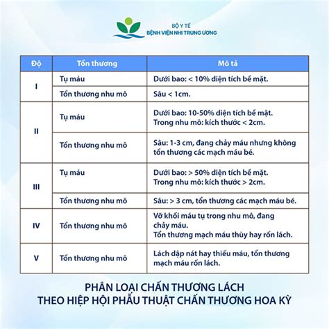 Hai Trẻ Chấn Thương Lách Do Tai Nạn Cha Mẹ Cần Lưu ý Bảo Vệ Trẻ Dịp