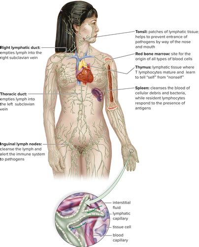 Biology Unit 5 Flashcards Quizlet