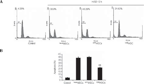 figure 1 from cse h2s system protects mesenchymal stem cells from