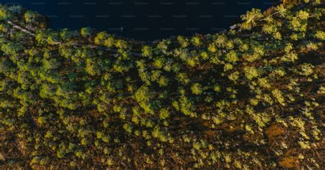 나무로 덮인 언덕의 조감도 사진 Unsplash의 자연 이미지