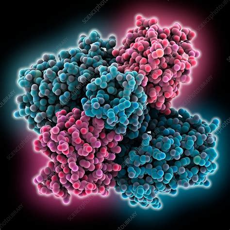 Histidine Kinase And Response Regulator Stock Image C0355785