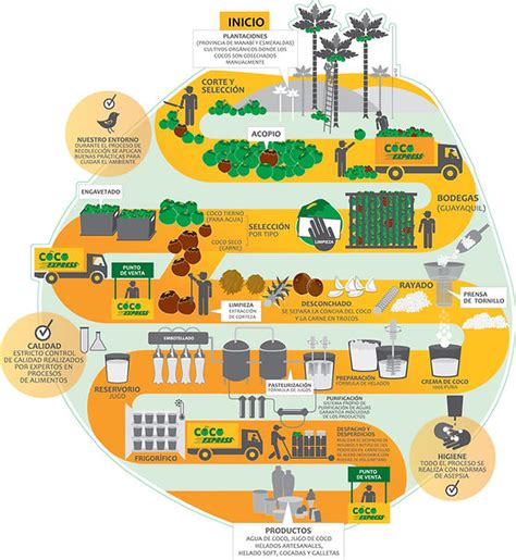 ProducciÓn Y LogÍstica Cocoexpressec