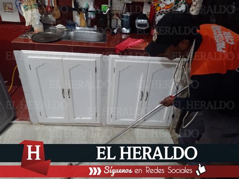 Capturan Boa Constrictora De Dos Metros Y Medio En Acayucan