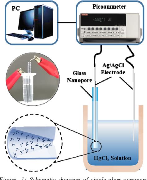 Figure 1 From Ultrasensitive And Selective Mercury Ii Ion Detection With A Glass Nanopore