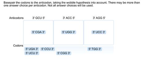 Solved Basepair The Codons To The Anticodon Taking The