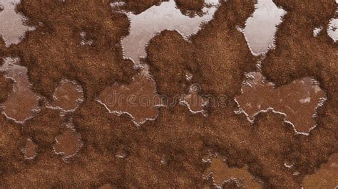 Muddy Ground With Water Puddles Texture Stock Image Image Of Muddy