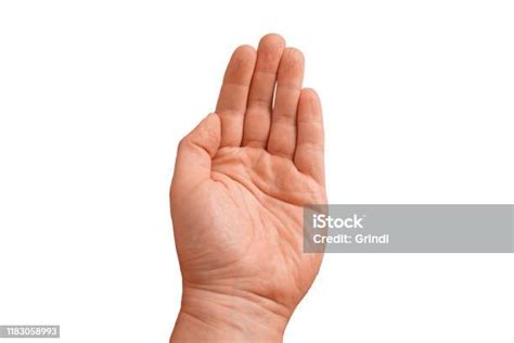 성인 남자의 직선 닫힌 손가락으로 손바닥을 엽니 다 투명 한 고립 된 배경에 인간의 손의 제스처 클로즈업 모형 개념에 대한 스톡 사진 및 기타 이미지 Istock