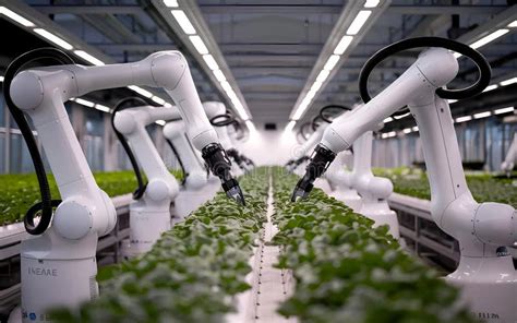 Multiple White Robotic Arms With Black Hoses Tend To Rows Of Green