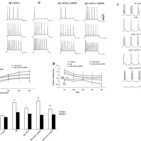 Alterations In The Evoked Firing Responses Of Ca1 Pyramidal Neurones Download Scientific