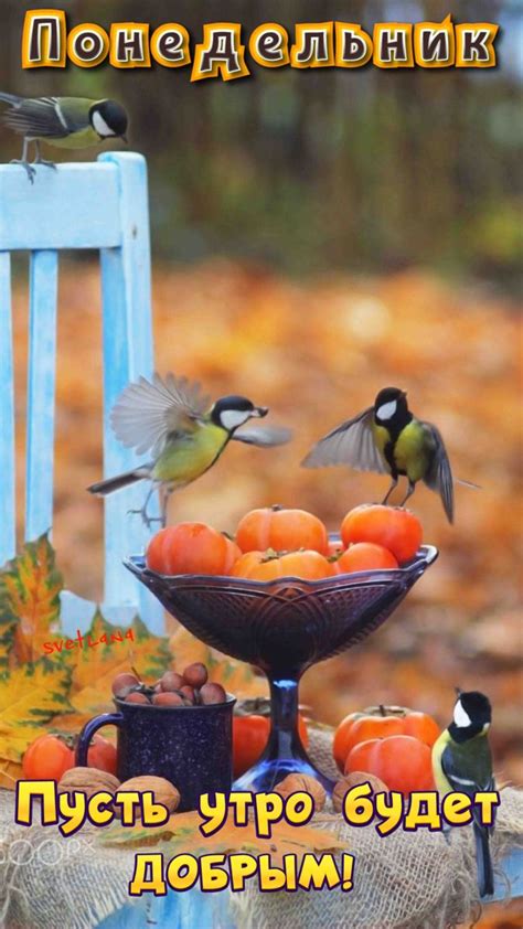 Доброе утро понедельник
