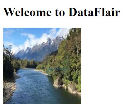 HTML File Paths Absolute And Relative File Paths DataFlair