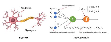 Syed Arman Mehdi On Linkedin Artificialintelligence Deeplearning Neuroscience Faithinspiration