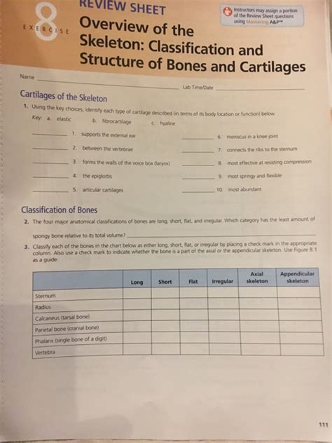 Overview Of The Skeleton Exercise Answer Key Exercisewalls My XXX Hot Girl