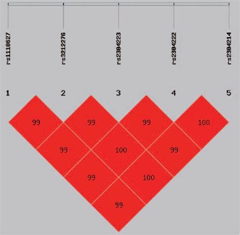 Linkage Disequilibrium Analysis In The Dll3 Gene D Is The Deviation