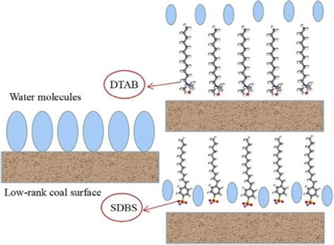 Effect Of Ionic Surfactants On Flotation Of Low Rank Coal A Dft