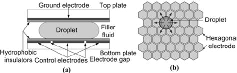a basic cell used in a digital microfluidics based biochip b