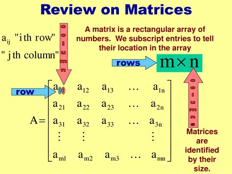 SOLUTION Matrices Row Operations And Echelon Form With Examples Studypool