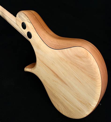 Bass Of The Month Mbass Big Hollow 5 String Fretless Marleaux