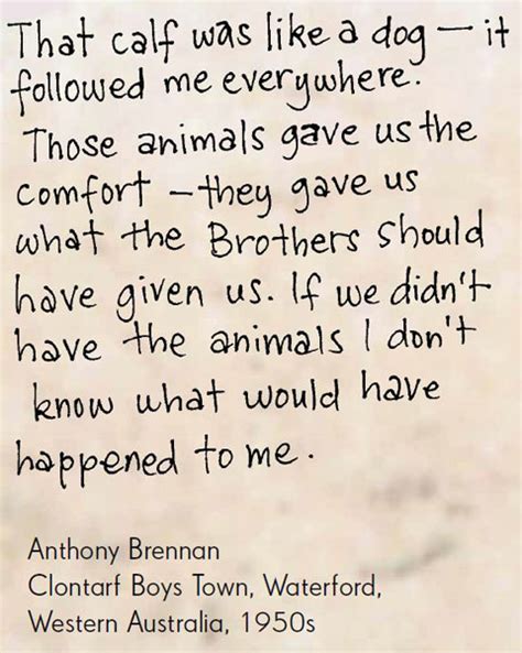 Justice Brennan Quotes Quotesgram Justice Brennan Quotes Quotesgram