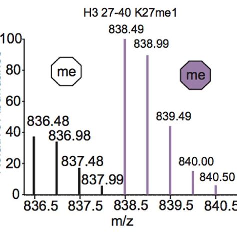 Bottom Up Collision Induced Dissociation Mass Spectrum Of The M2h2
