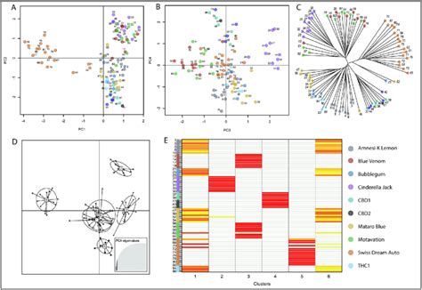 Pca And Dapc Of Variants Found In Genes Identified To Encode Catalytic