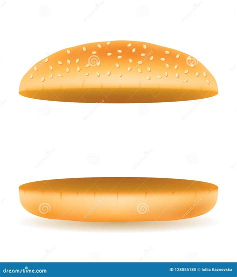 Fresh Crispy Burger Bun Stock Vector Illustration Stock Vector