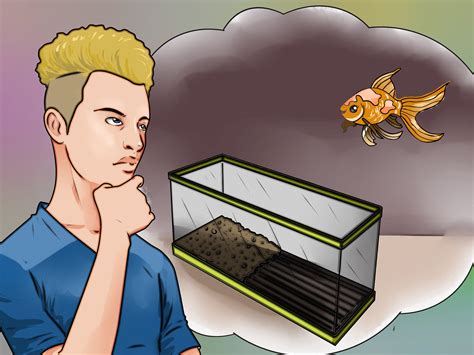 Ways To Set Up An Aquarium WikiHow