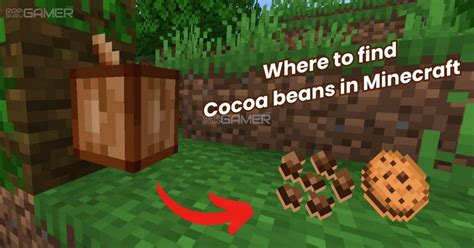 cocoa beans minecraft java at karin wright blog