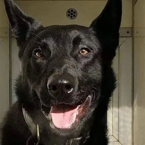 Estas Son Las 5 Fotos De Luis Potro Caballero Que Han Revolucionado