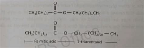 Lipid Defination Classification Fuction Structure With All Example