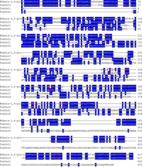 Multiple Sequence Alignment Of Phbeta 14 Glu With Three Download