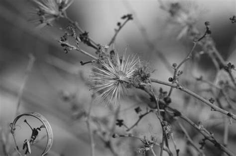 1 000 000 ảnh đẹp Nhất Về Ảnh Sex · Tải Xuống Miễn Phí 100 · Ảnh Có