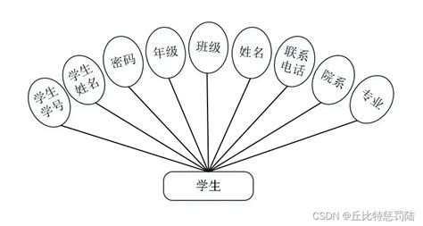 基于 Java Springboot Vue Mysql 大学生实习管理系统（含源码） 阿里云开发者社区