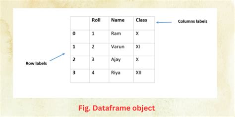 Class 12 Informatics Practices Data Structures In Pandas Csip Academy
