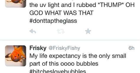 Seriously Bro I Swear She Came Over Last Night And Hey Earl Check Out