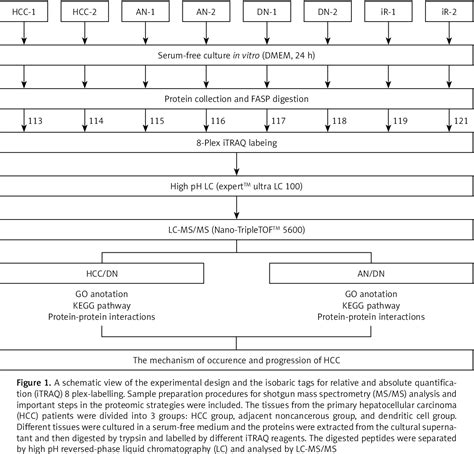 Figure From The Isobaric Tags For Relative And Absolute Quantification Based Quantitative