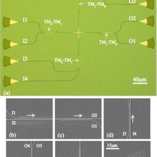 A Microscopy Image For Dual Mode Waveguide Crossing Assisted By Four Download Scientific
