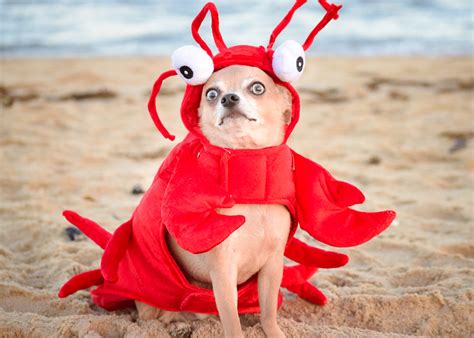 Funny Photos You Wont Be Able To Stop Laughing At Readers Digest