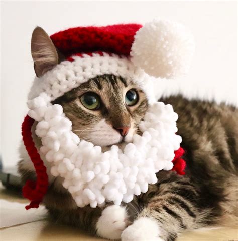 Bearded Santa Hat For Cats Holiday Cat Santa Hat With Soft Fluffy