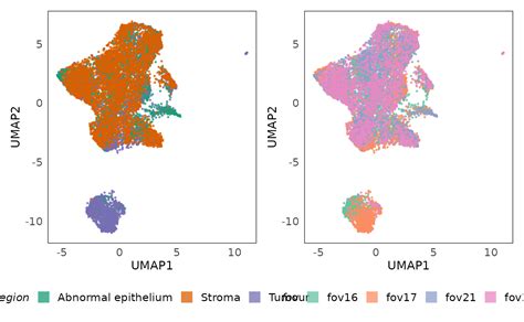 Part I Introduction To Imaging Based Spatial Transcriptomics Analysis Bruker Cosmx Nsclc