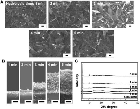 A Sem Images B Cross Sectional Sem Images And C Xrd Patterns Of