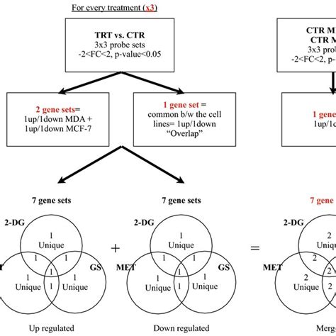 A Simplified Schematization Of The Partitioning Of Degs Download Scientific Diagram