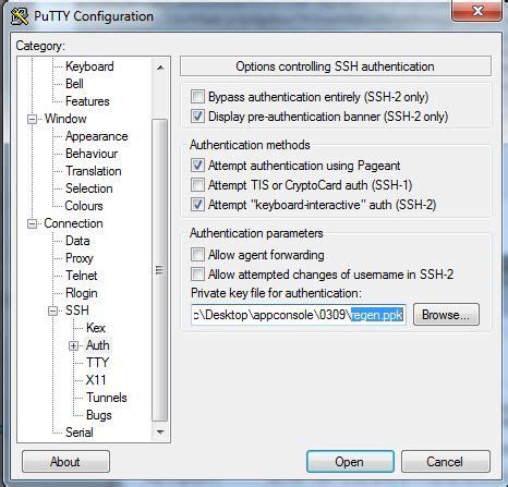 Configure APP Console Access For Cisco IOx Cisco