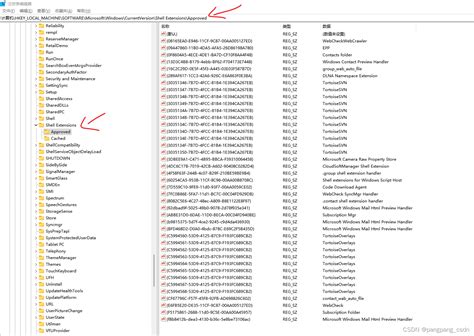 安装tortoisesvn报错could not write value to key verify that you have