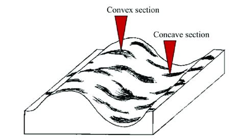 7 Tidal Flats Convex And Concave Sections Download Scientific Diagram